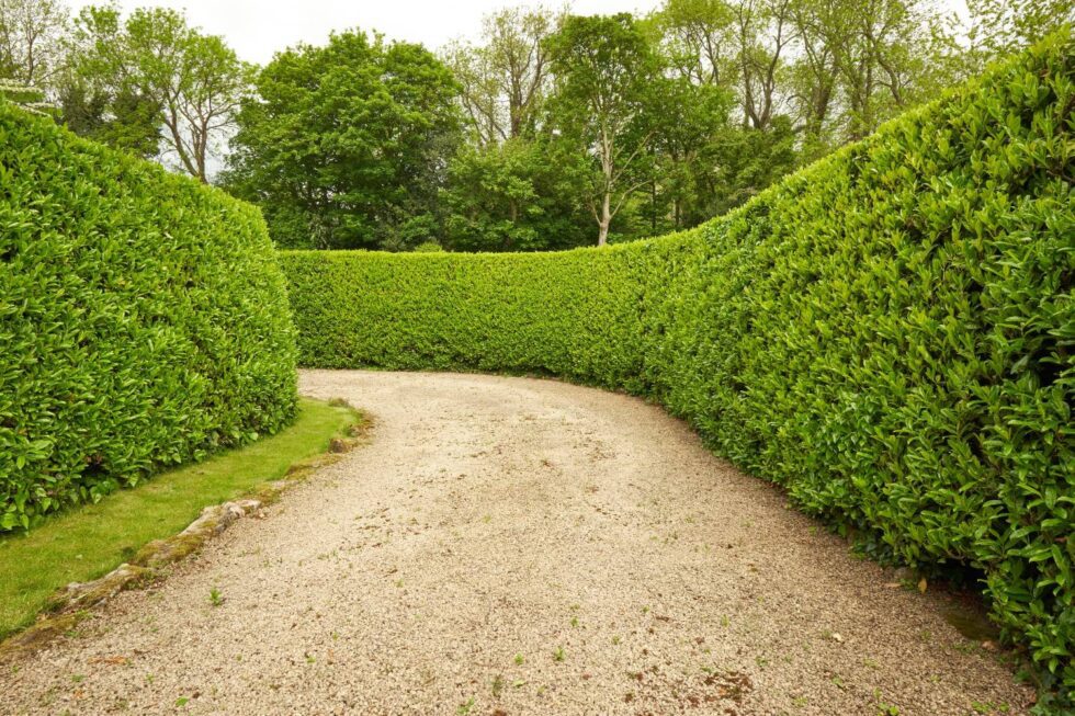 Driveways – Consolidated Shell | Buy Bulk Crushed Oyster Shells ...